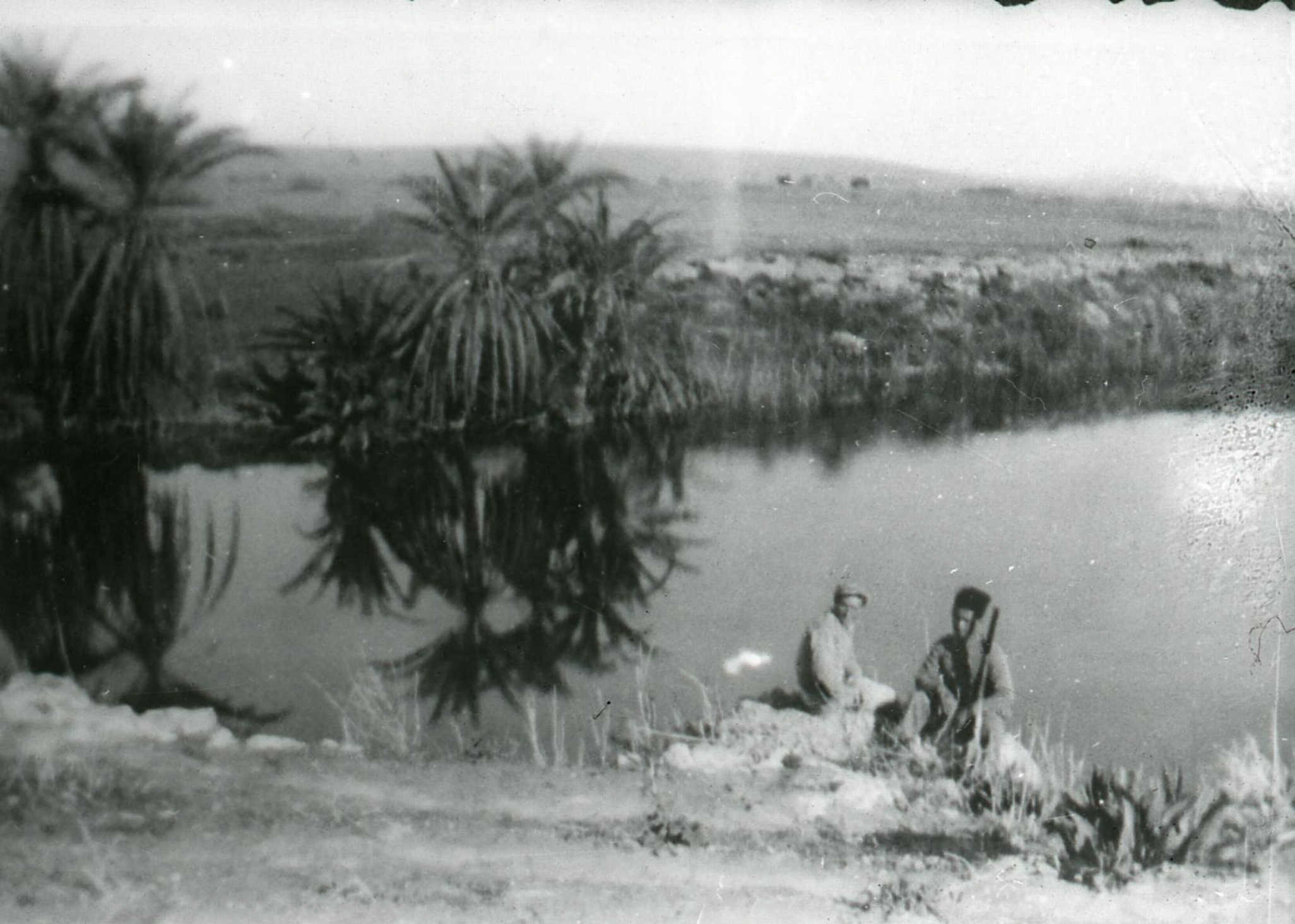 1930 - 1469059 » מורשת בית השיטה