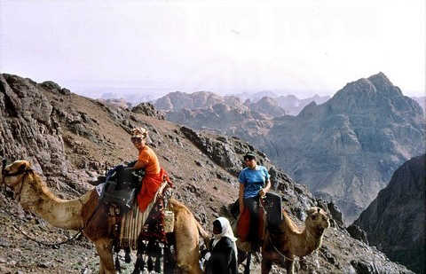 1975 - 9003370 » מורשת בית השיטה