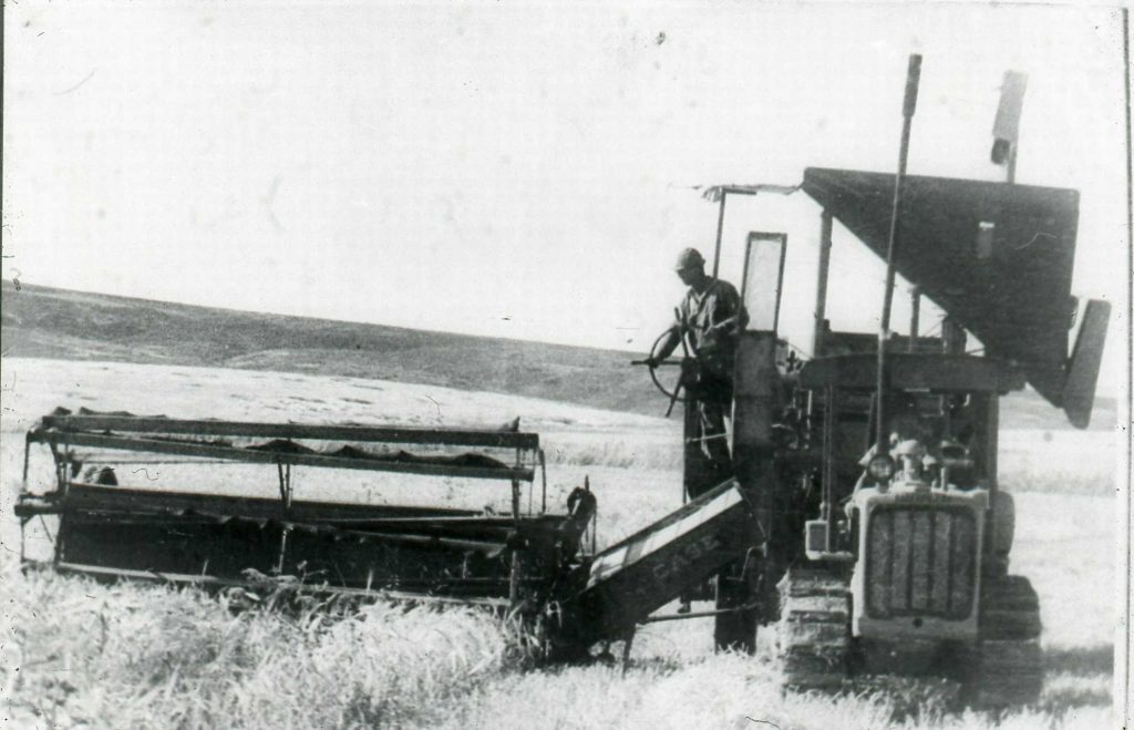 1936 - 1468034 » מורשת בית השיטה